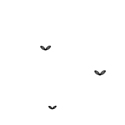 Nancy | Character | Nullworld